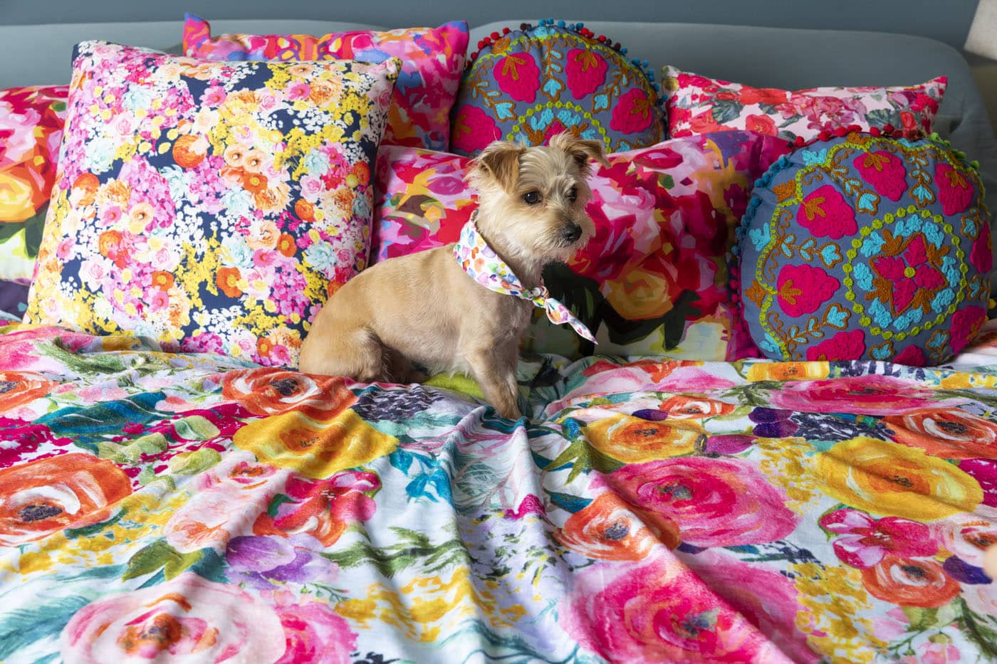 Color Queen Artist | The Woodlands