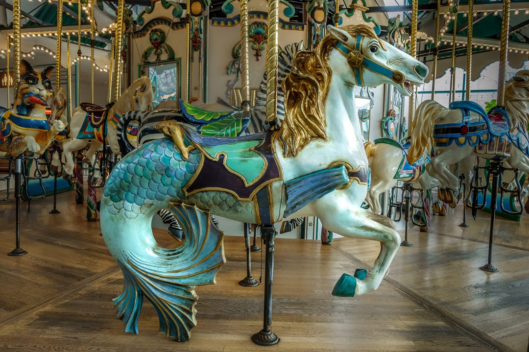 Photo Journal | The Woodlands