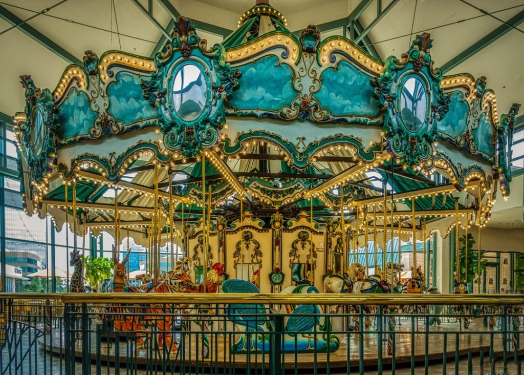 Photo Journal | The Woodlands