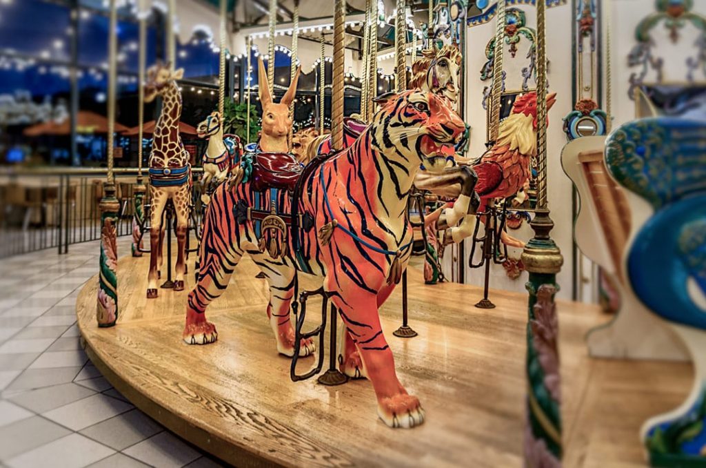 Photo Journal | The Woodlands