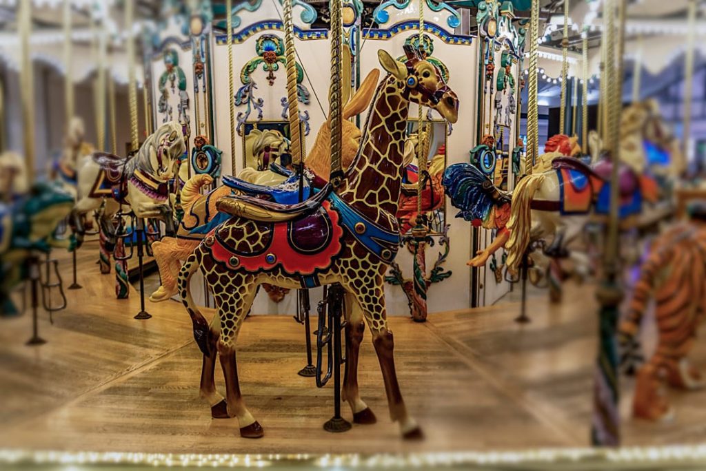 Photo Journal | The Woodlands