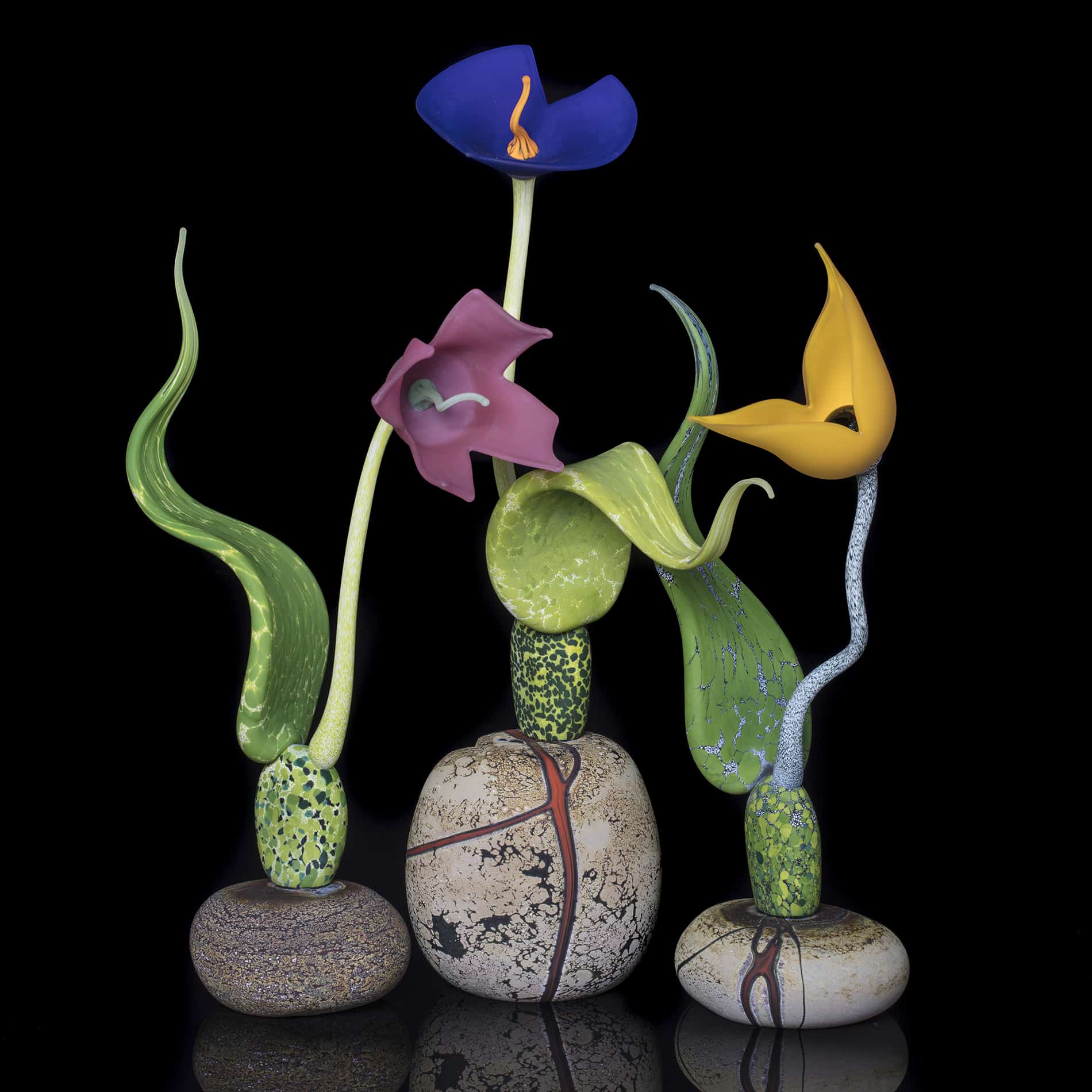 The Art of Nolan Prohaska | The Woodlands