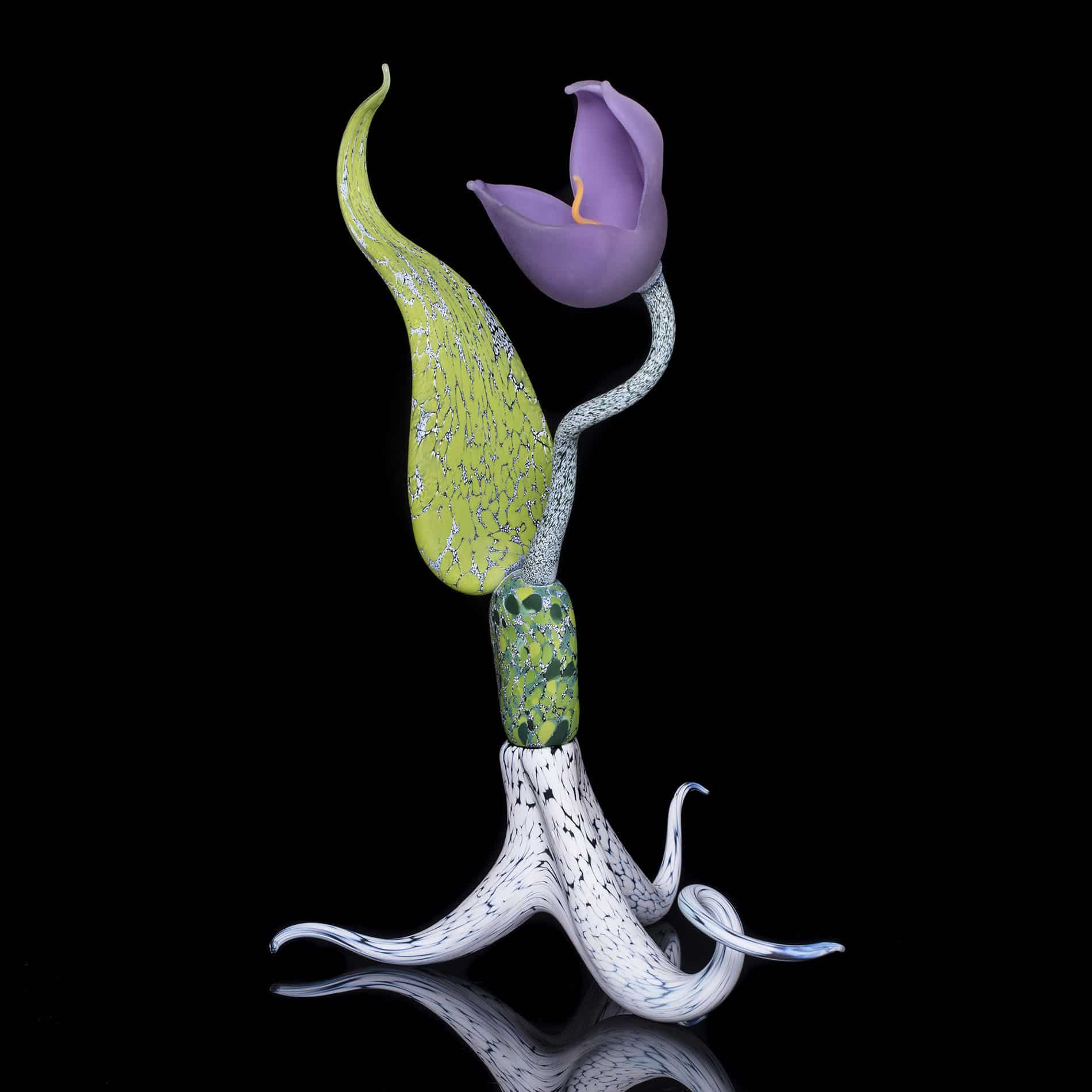 The Art of Nolan Prohaska | The Woodlands