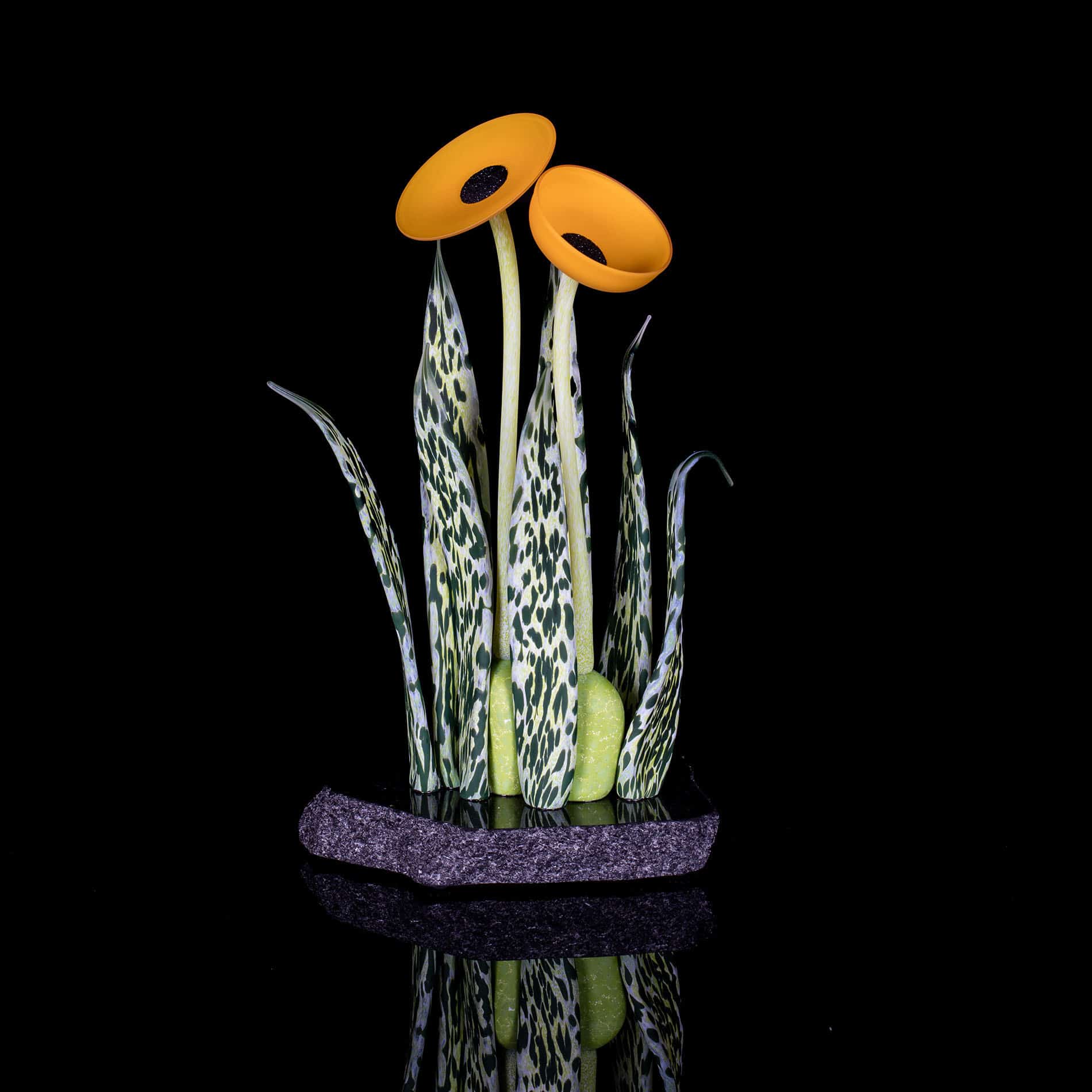 The Art of Nolan Prohaska | The Woodlands