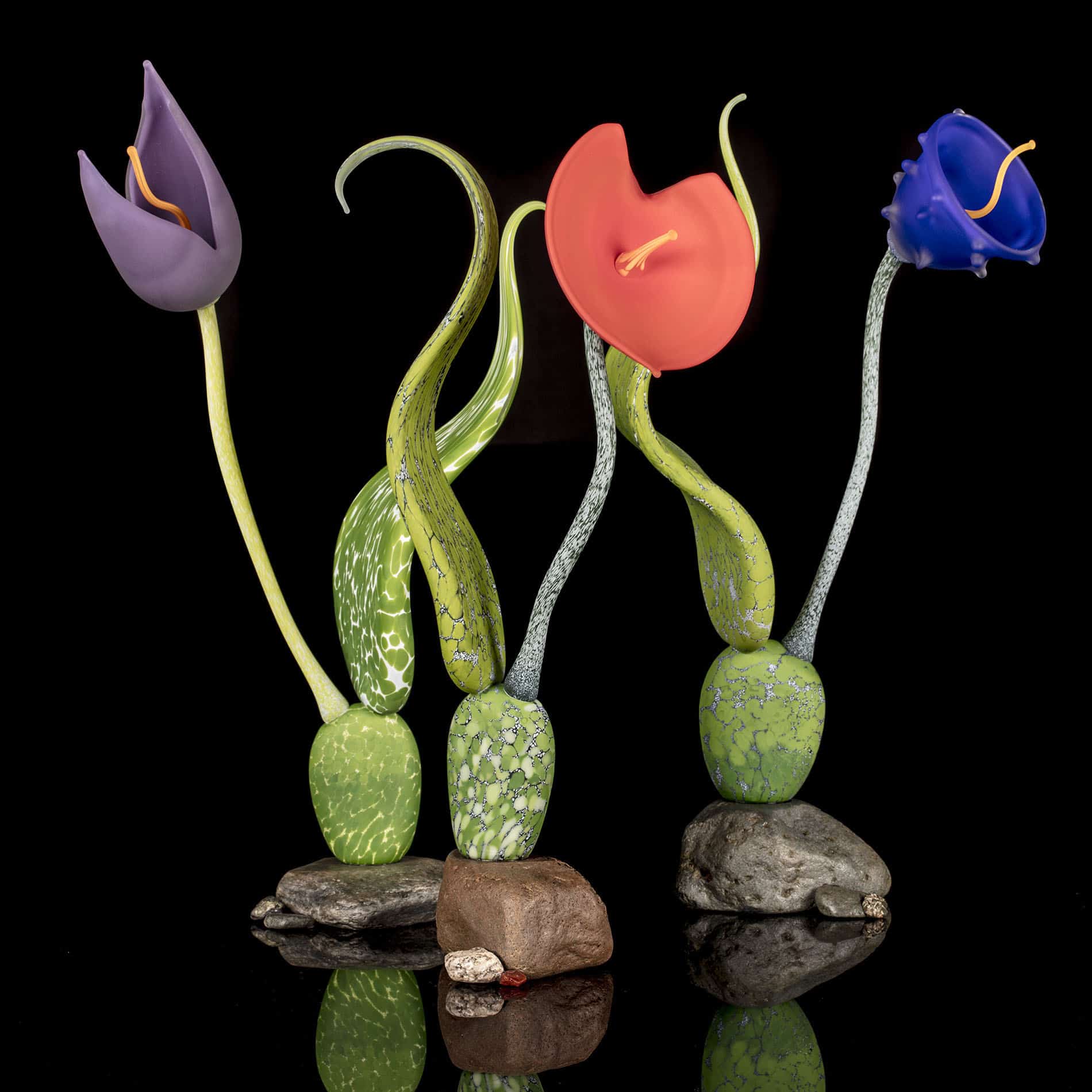 The Art of Nolan Prohaska | The Woodlands