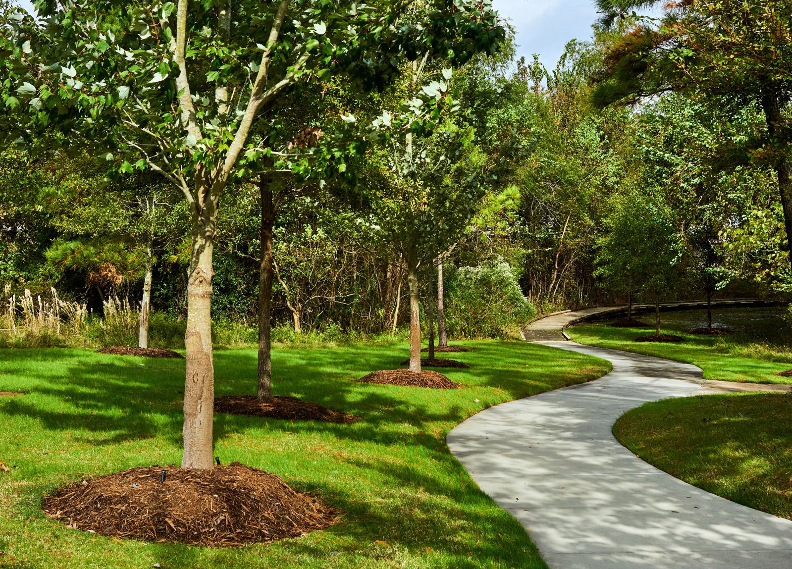 The Woodlands' Trail Network: 220 Miles of Interconnected Paths Connect ...