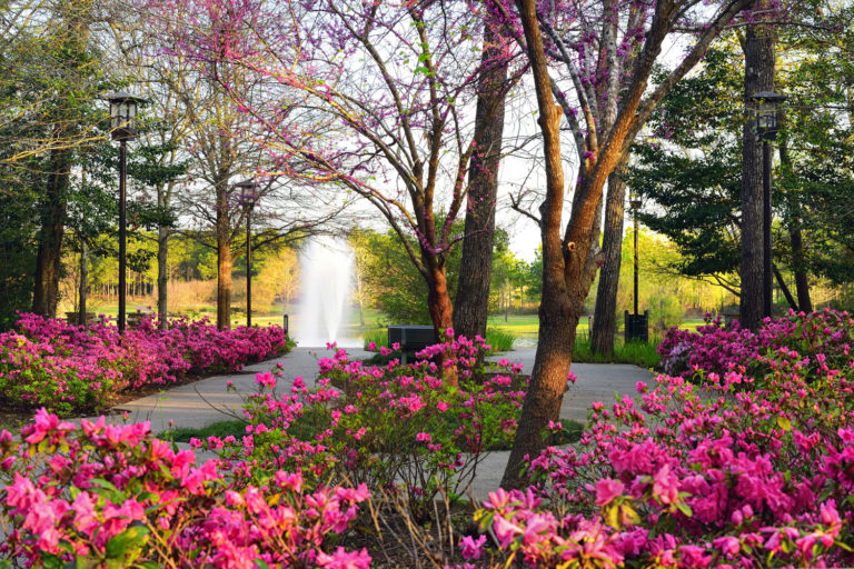 History of The Woodlands | The Woodlands