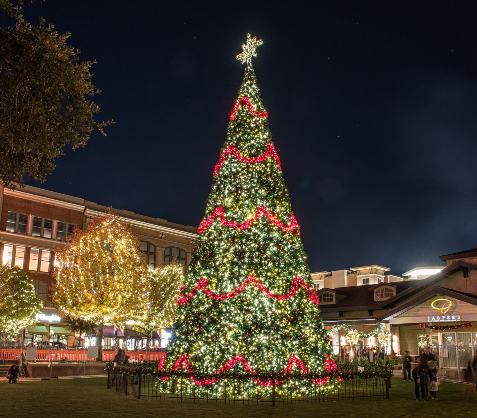Holiday Events In The Woodlands You Need to Have On Your Calendar ...