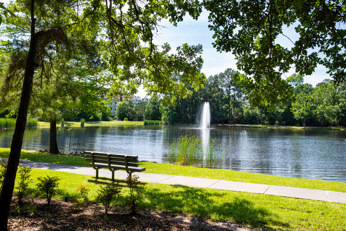 5 Elements That Make The Woodlands Unique | The Woodlands