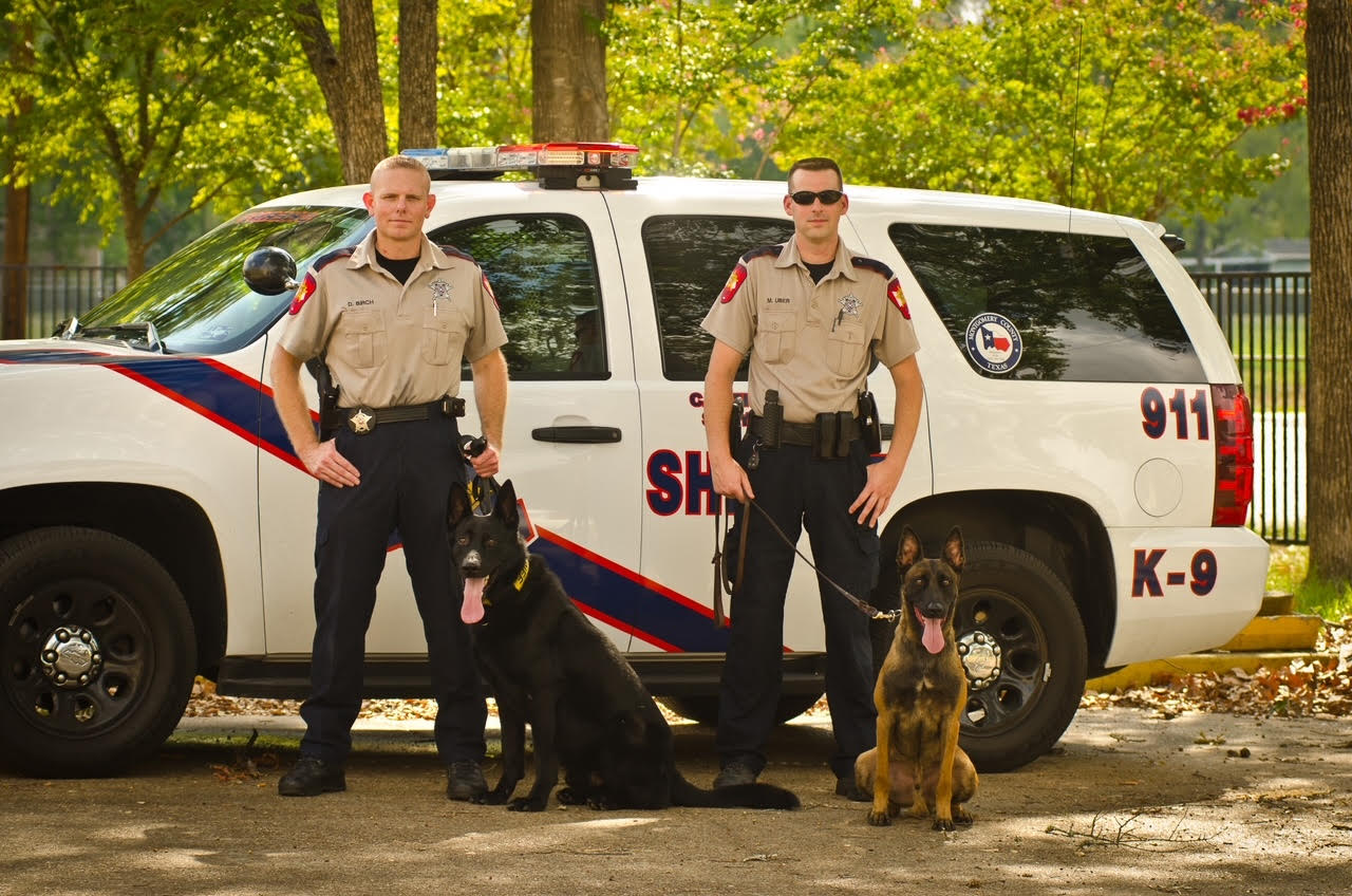 Policing Goes to the Dogs: How K9 Units Help Keep the Community Safe ...
