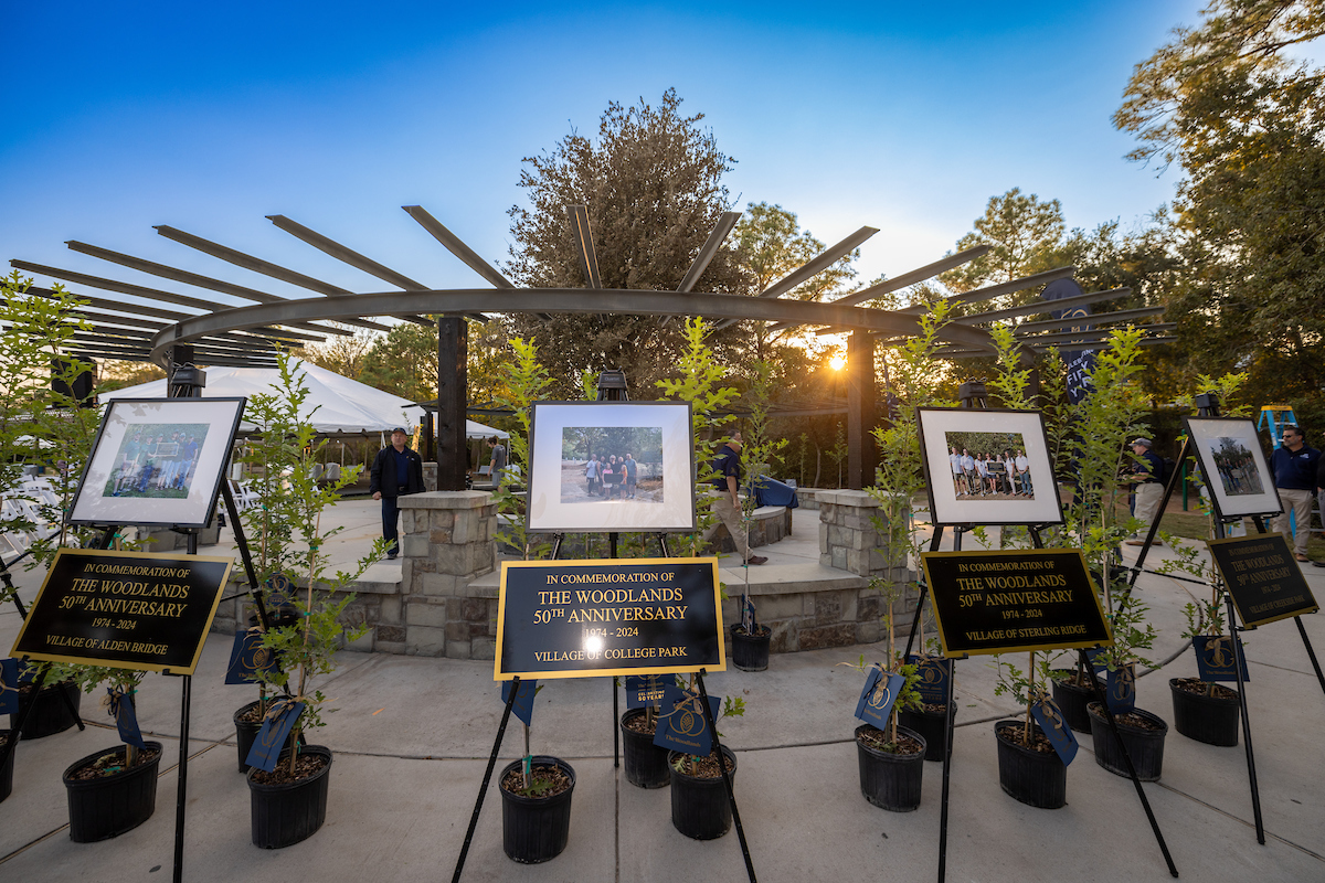 Rooted in Celebration: The Woodlands 50th Anniversary Tree Dedication ...